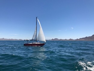 For Sale Martin 242-2 – Arizona Yacht Club